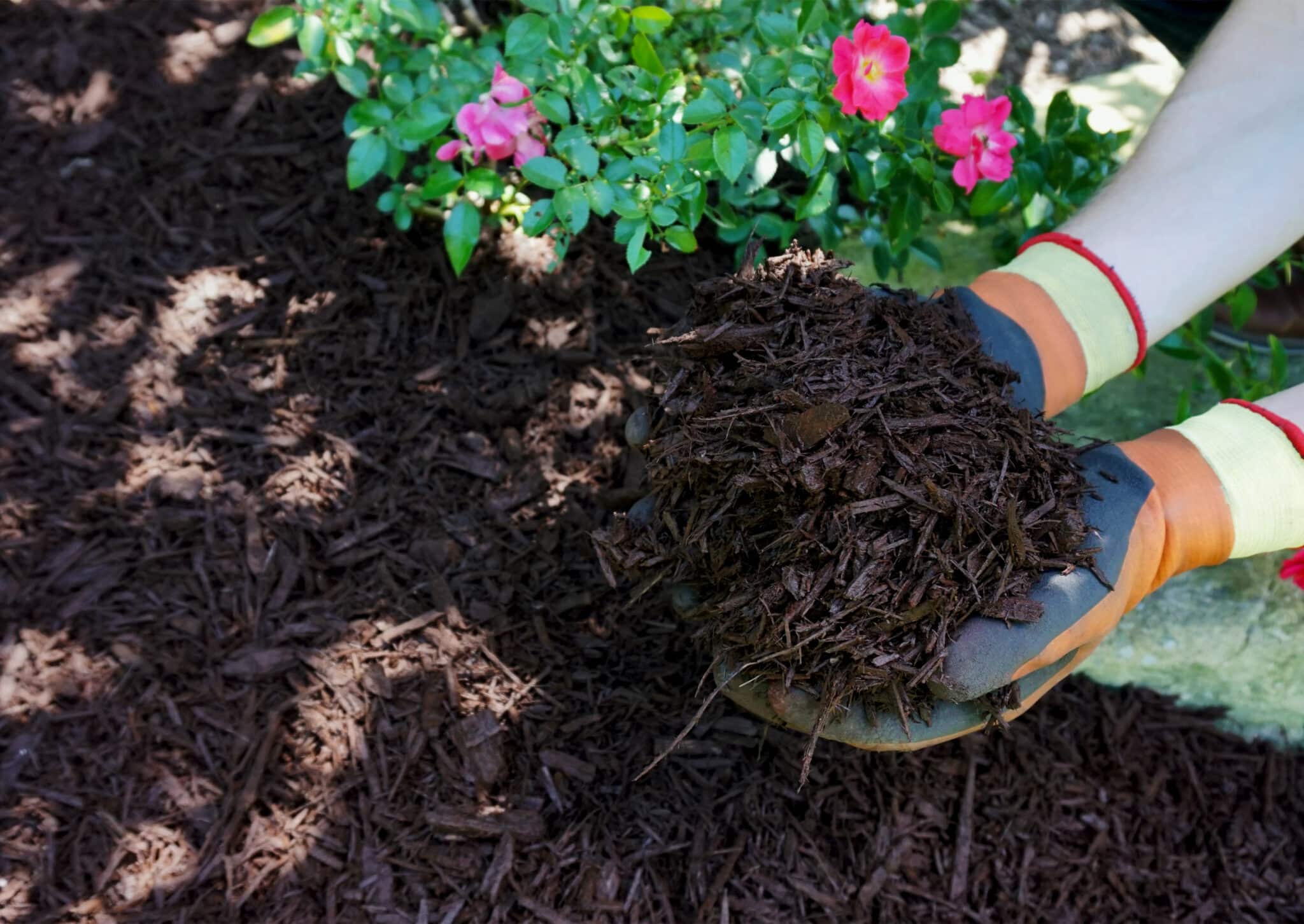 Mulch and Bark | Wholesale Landscaping Supplies